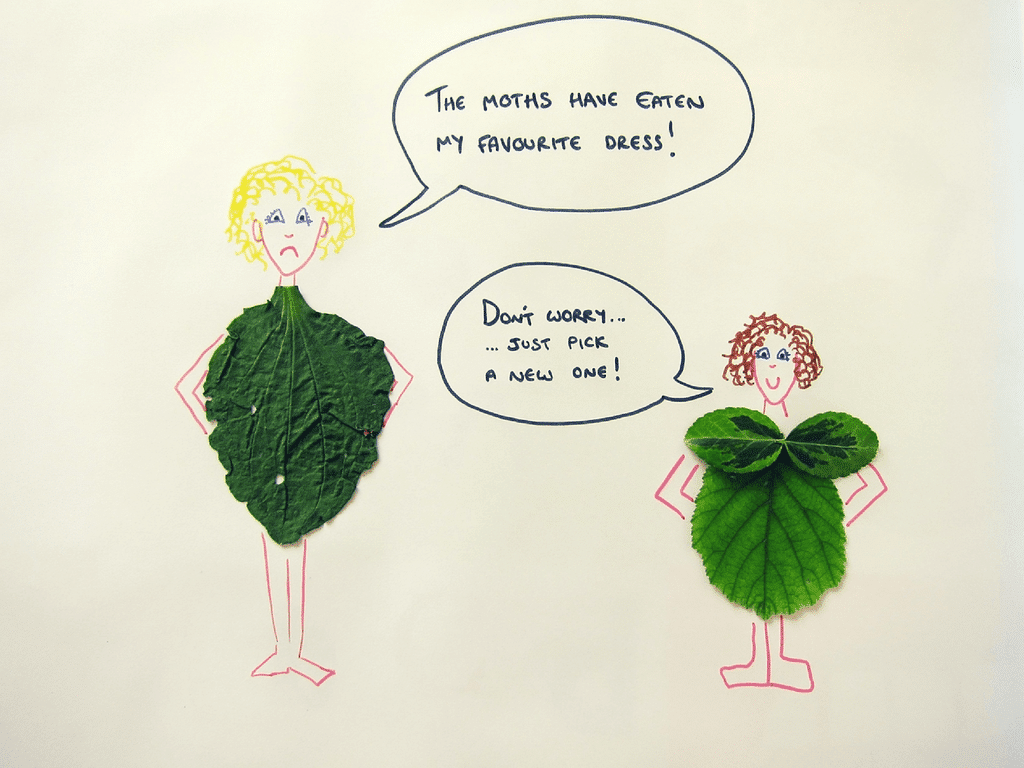 How to create Leaf Art (after an adventure) – HodgePodgeCraft